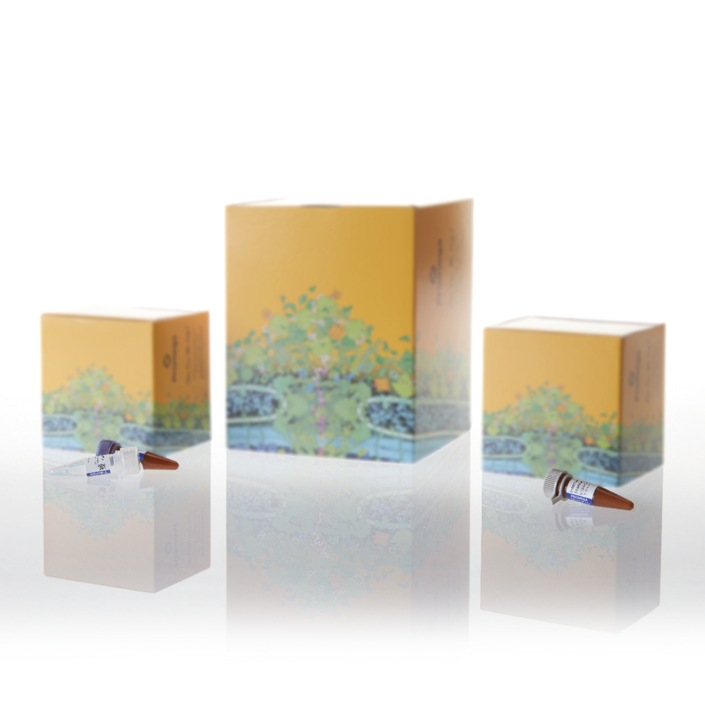 PowerPlex 16 Monoplex System CSF1PO (JOE) Nerliens Meszansky AS