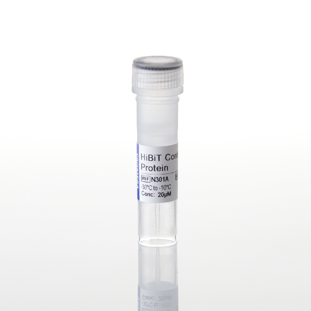 HiBiT Control Protein Nerliens Meszansky AS