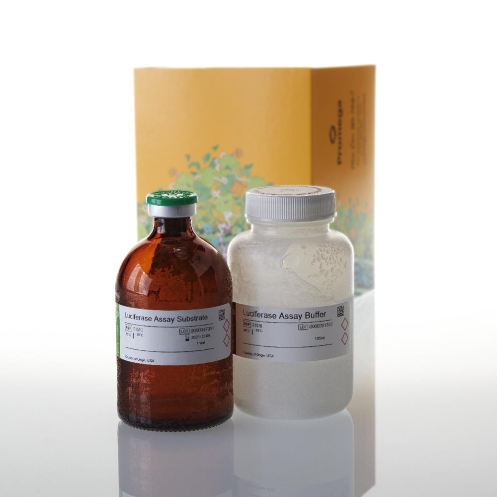 Luciferase Assay System with Reporter Lysis Buffer Nerliens Meszansky AS