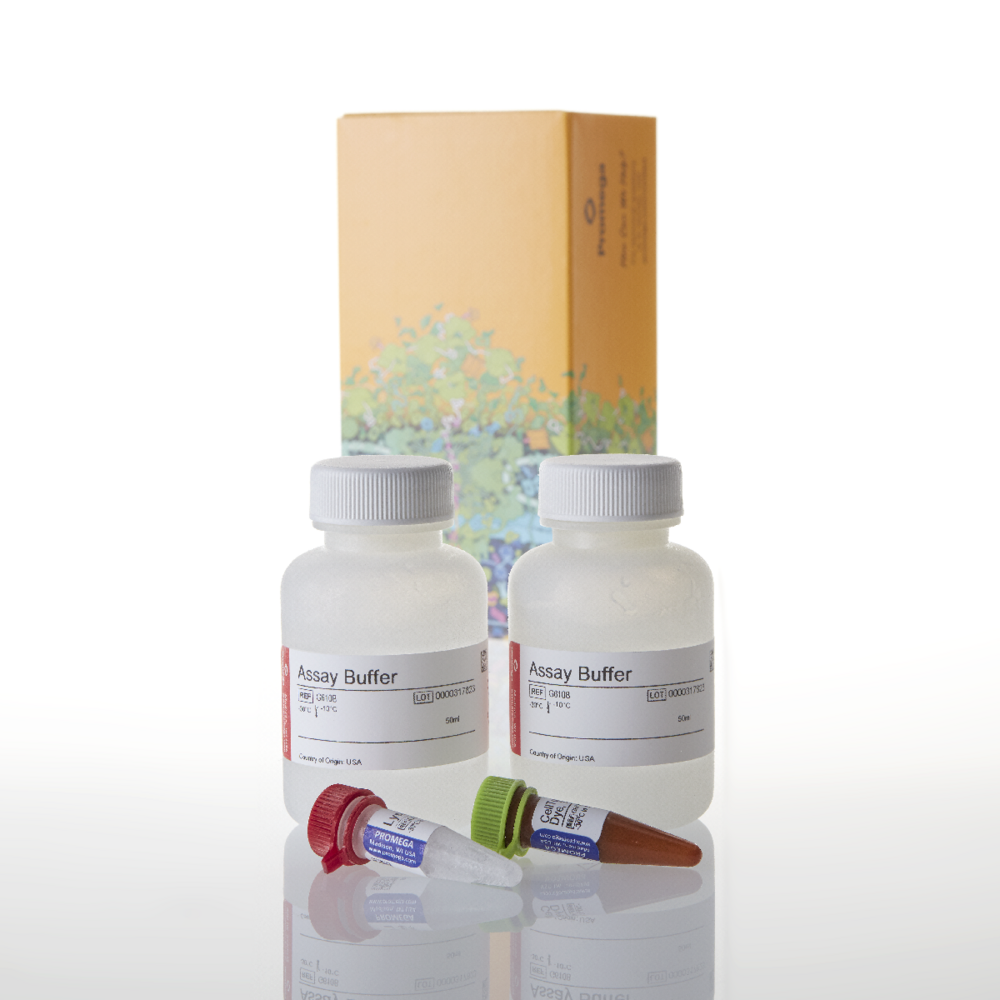 CellTox Green Cytotoxicity Assay Nerliens Meszansky AS