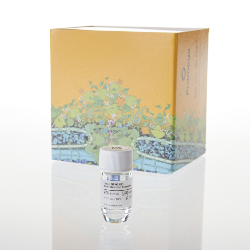 FuGENE HD Transfection Reagent Nerliens Meszansky AS