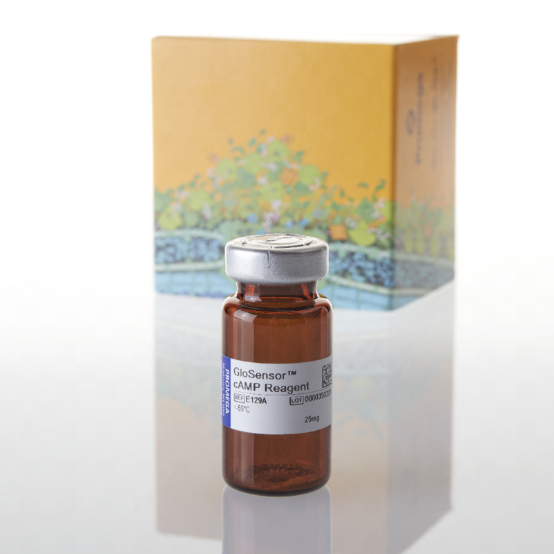 GloSensor cAMP Reagent Nerliens Meszansky AS