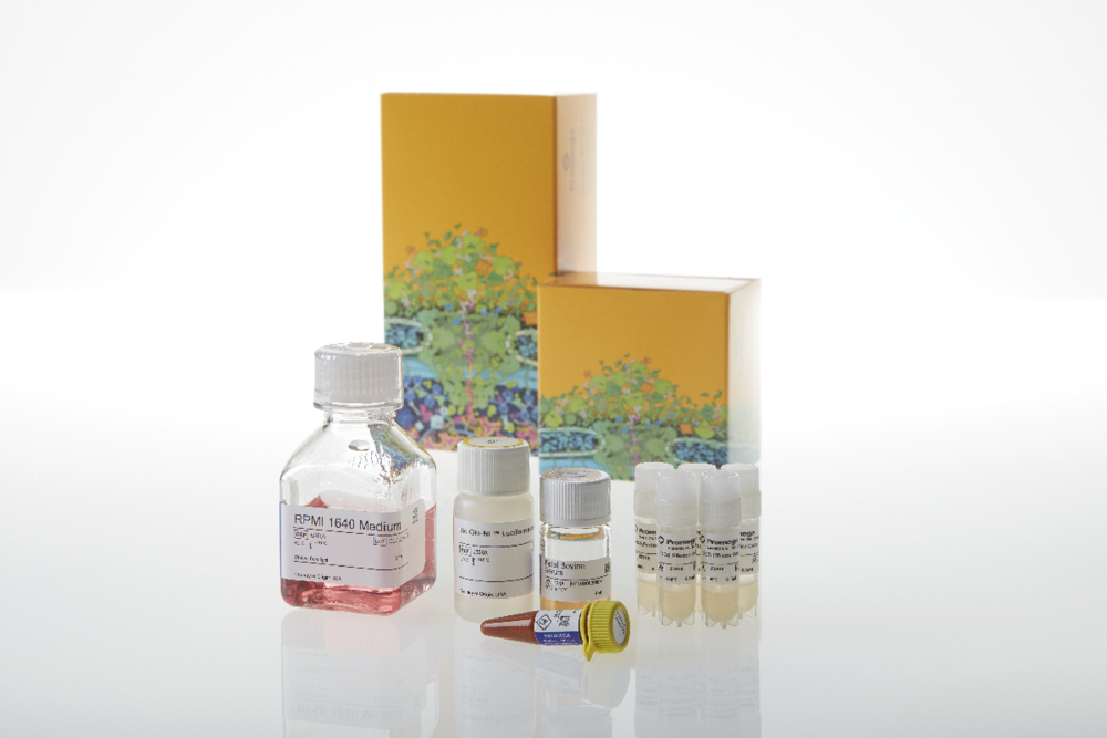 ICOS Bioassay Core Kit Nerliens Meszansky AS