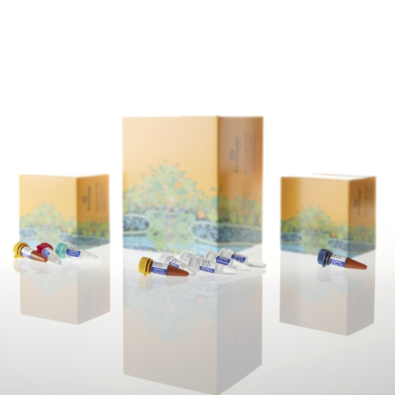 PowerPlex 21 System Nerliens Meszansky AS