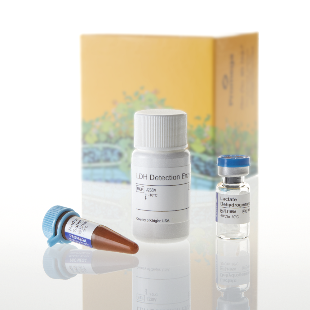 LDH-Glo Cytotoxicity Assay Nerliens Meszansky AS