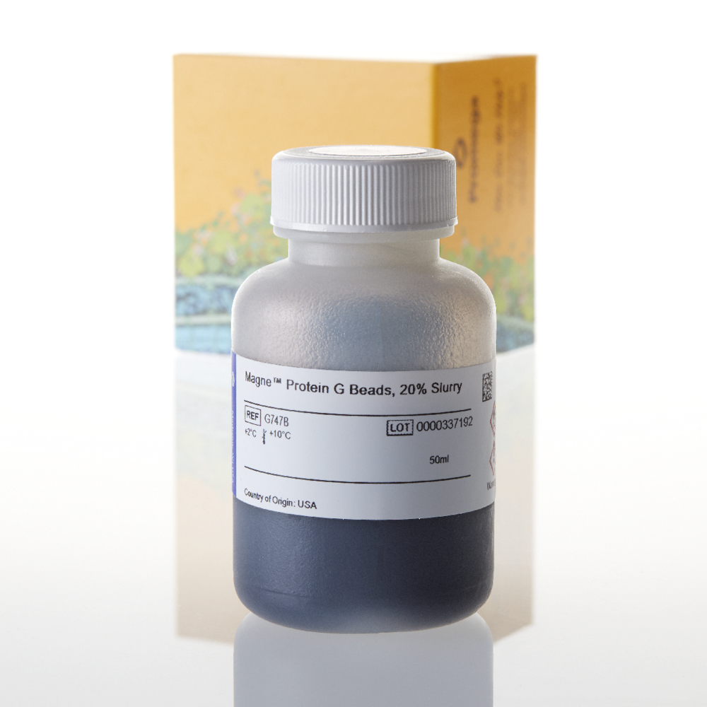 Magne Protein G Beads, 20% Slurry Nerliens Meszansky AS