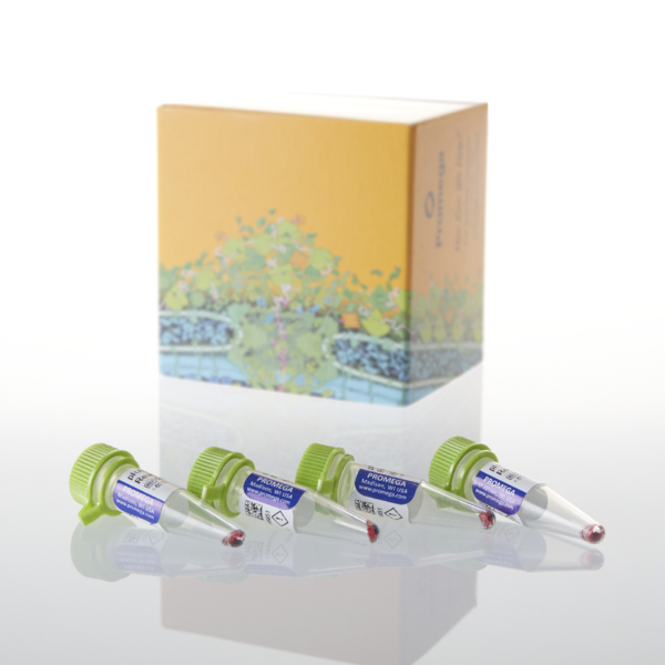 pHAb Amine Reactive Dye Nerliens Meszansky AS