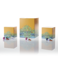 PowerPlex Fusion 6C System Nerliens Meszansky AS