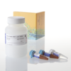Nano-Glo HiBiT Lytic Detection System Nerliens Meszansky AS