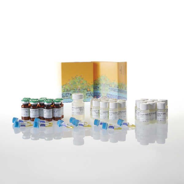 Dual-Luciferase Reporter Assay System Nerliens Meszansky AS