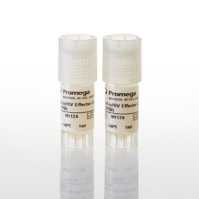 mFcgammaRIV ADCC Reporter Bioassay, Complete Kit Nerliens Meszansky AS