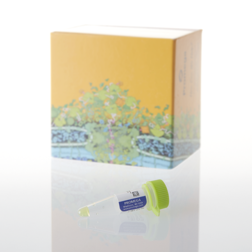 FluoroTect GreenLys in vitro Translation Labeling System Nerliens ...